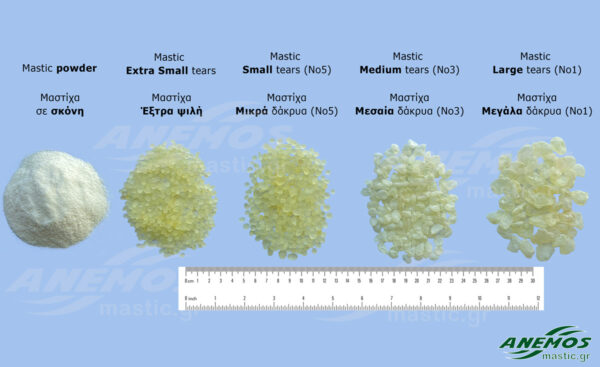 Sizes of Natural Chios Mastic • ANEMOS